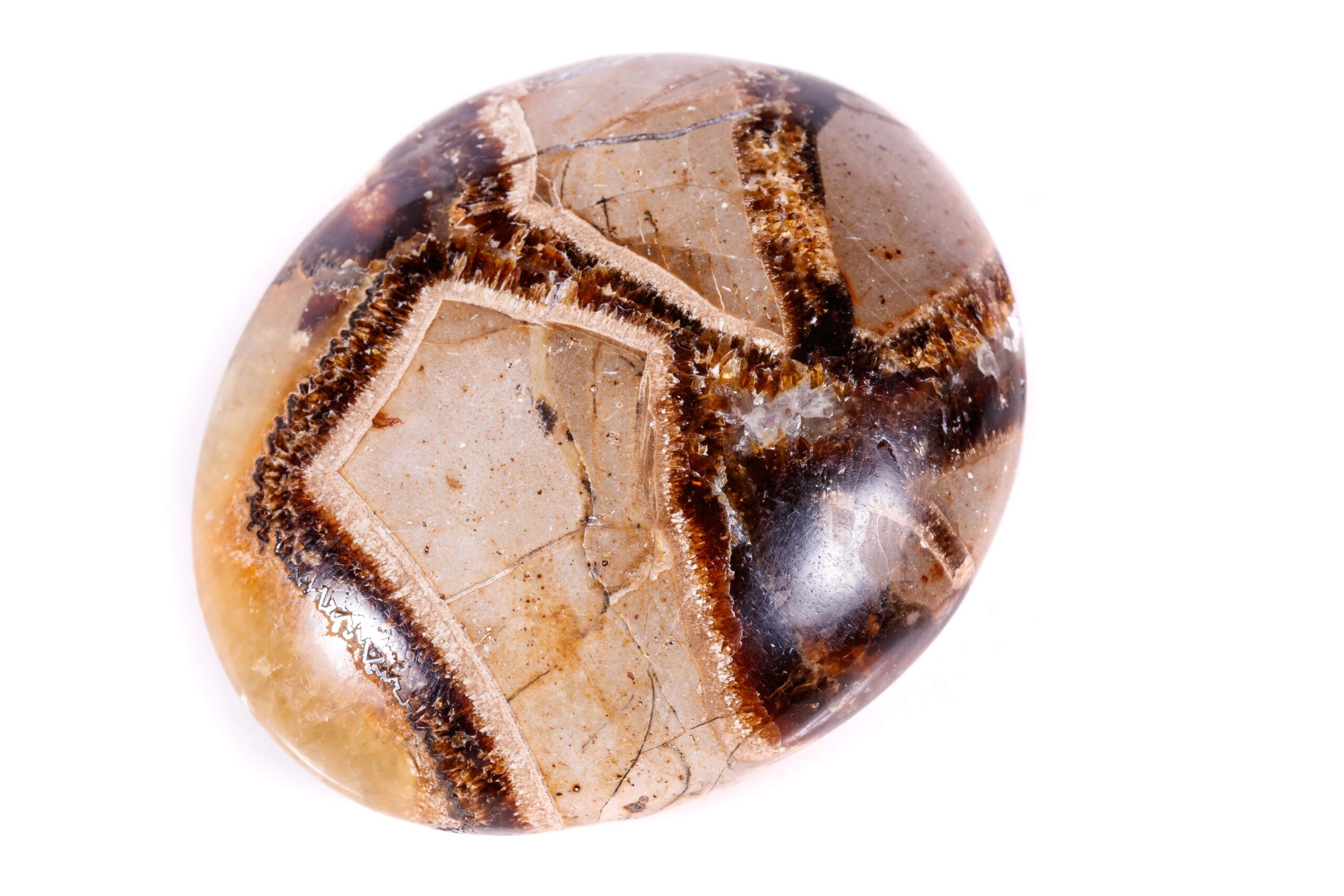 Septaria : vertus et propriétés en lithothérapie